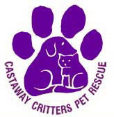 Castaway Critters Pet Rescue, Inc: Less Adoptable Pets Week - Meet Molly