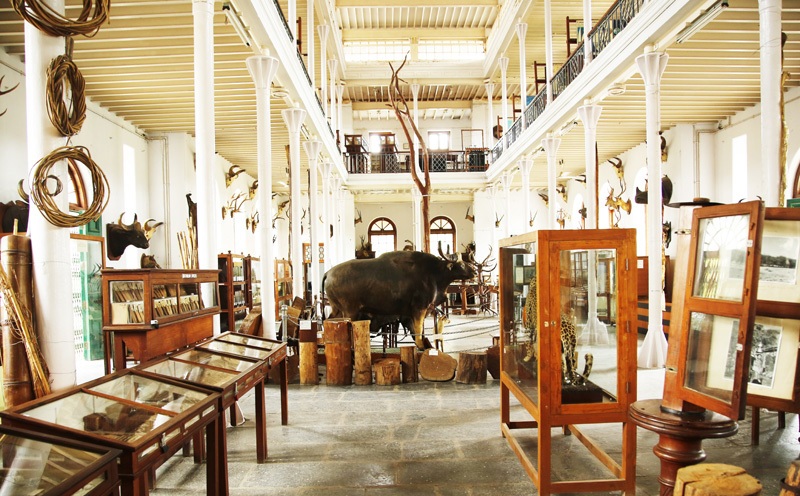 Tamilnadu Tourism: Gass Forest Museum, Coimbatore