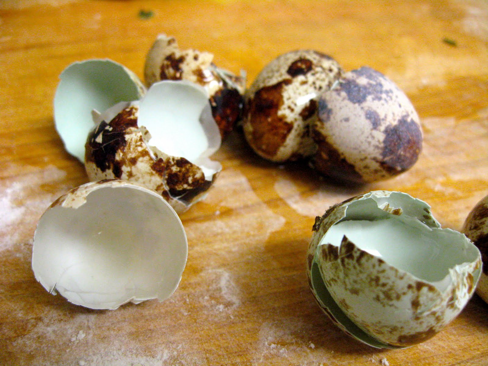 Not really a recipe (fair warning) - or - Quail egg raviolone with ...