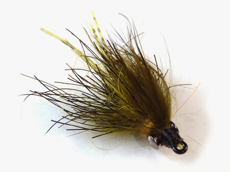 Fly-Carpin: January 2011