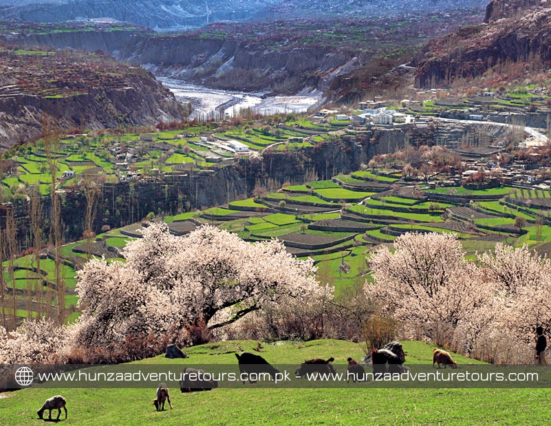 Hunza Adventure Tours®: About Hunza Valley
