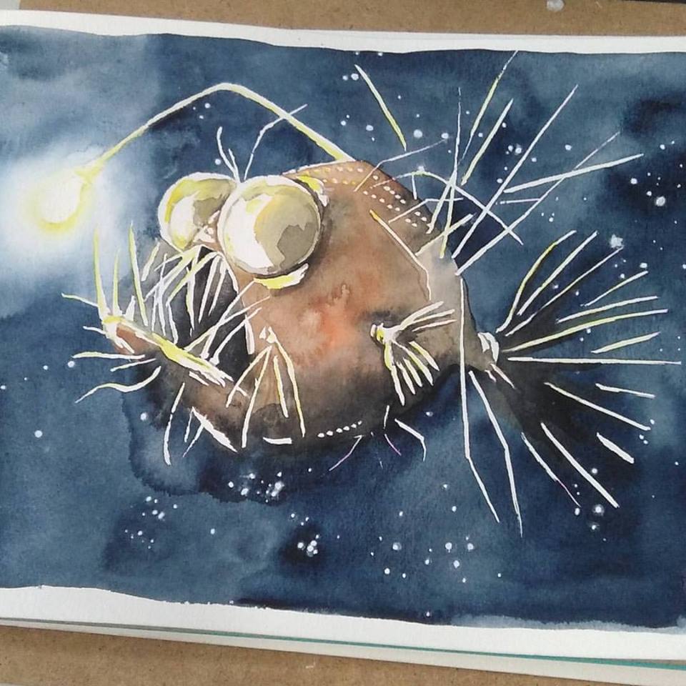 Pez Linterna Cornudo: 2018