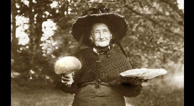 Madame Macabre: Fotos antiguas de brujas.