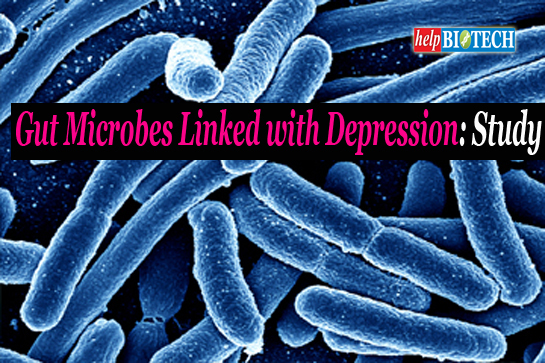 Gut Microbes (Coprococcus & Dialister) Linked to Depression : Study