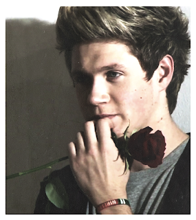 Amnesia in One Direction