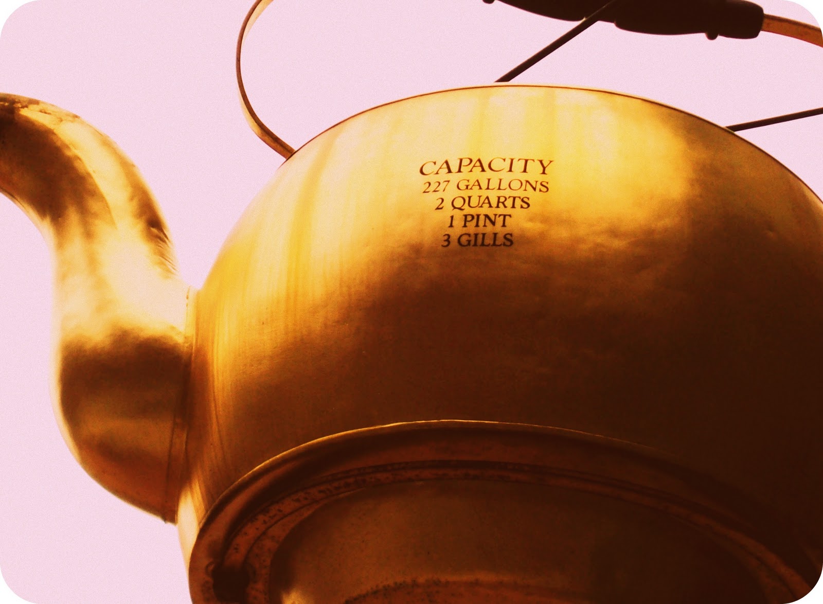 Cotton Headed Ninny Muggins: Photography