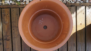 Lorraine Stanick: How to : Pot A Plant