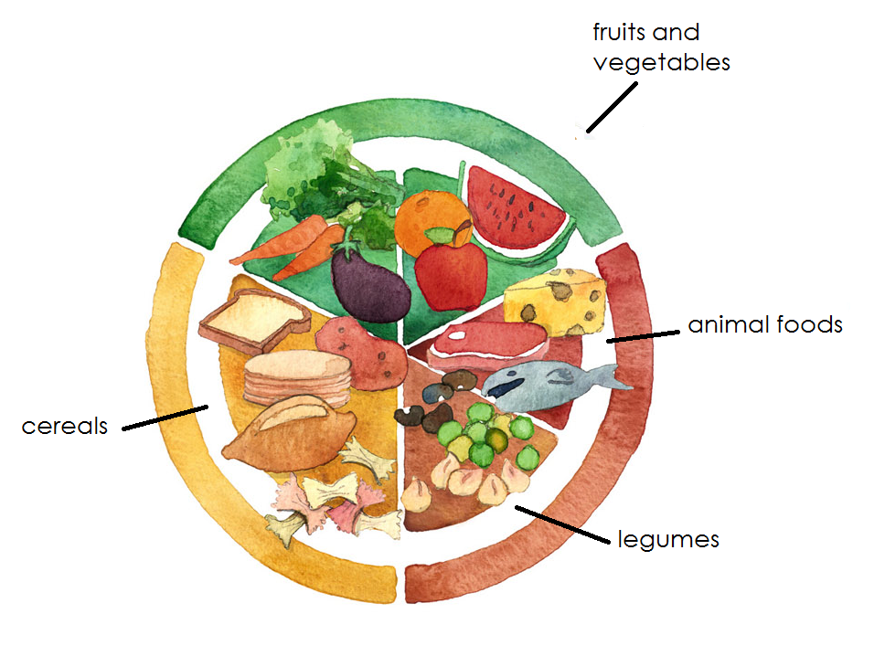 Welcome to Jaqueline Mendoza's universe: Task 2 The Eatwell chart