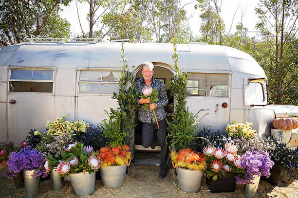 A Passion for Flowers: Rene Van Rems: From Field to Vase