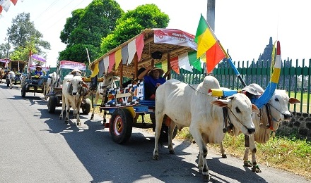 Festival Gerobak Sapi, Ajang Unjuk Budaya Para Petani - KangMasroer.Com