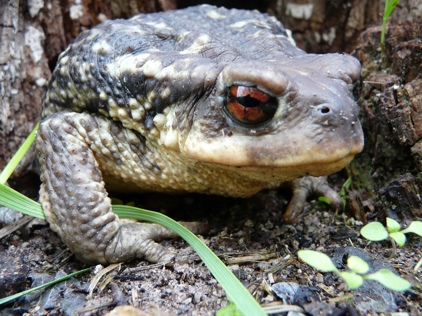 LA MEMORIA DE LOS MOMENTOS: diciembre 2012