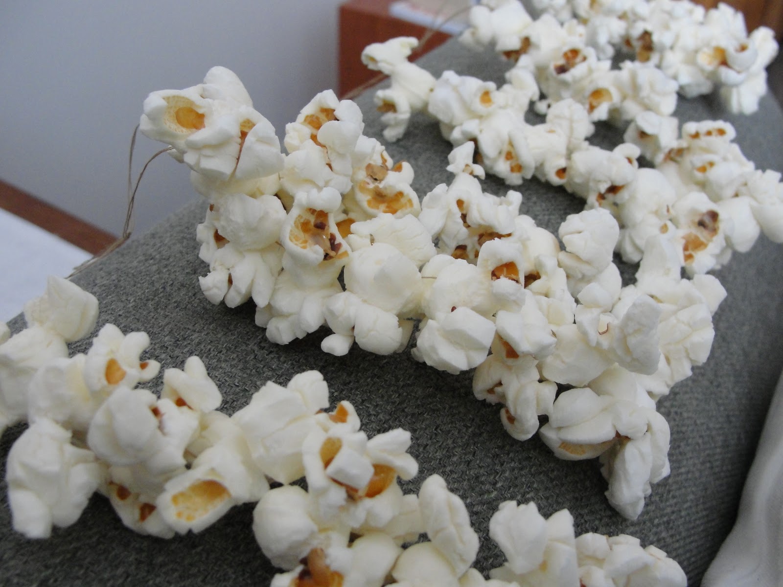 Christmas for Birds - How to Make Popcorn Garland for Birds