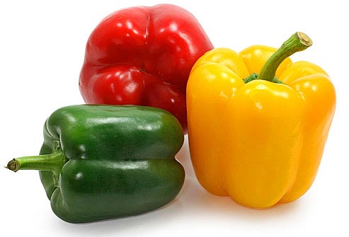 Scientific Name of Capsicum (कैप्सिकम) Bell Pepper (बेल पीपर) | Shimala ...