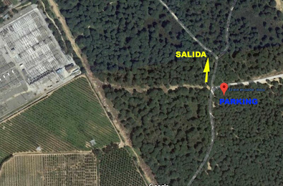 Club Orientación "Los Pinos": PINAR DEL REY 2019