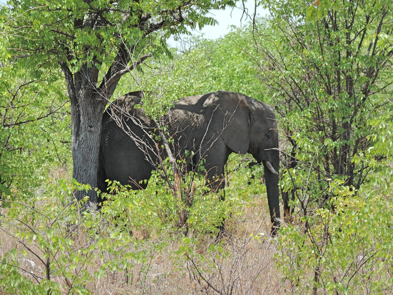Travel with Kevin and Ruth: Secrets the Government is Hiding About ...