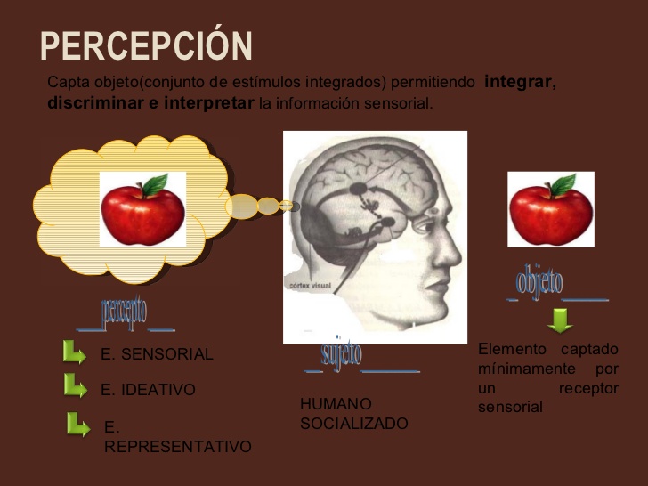 LA PERCEPCIÓN