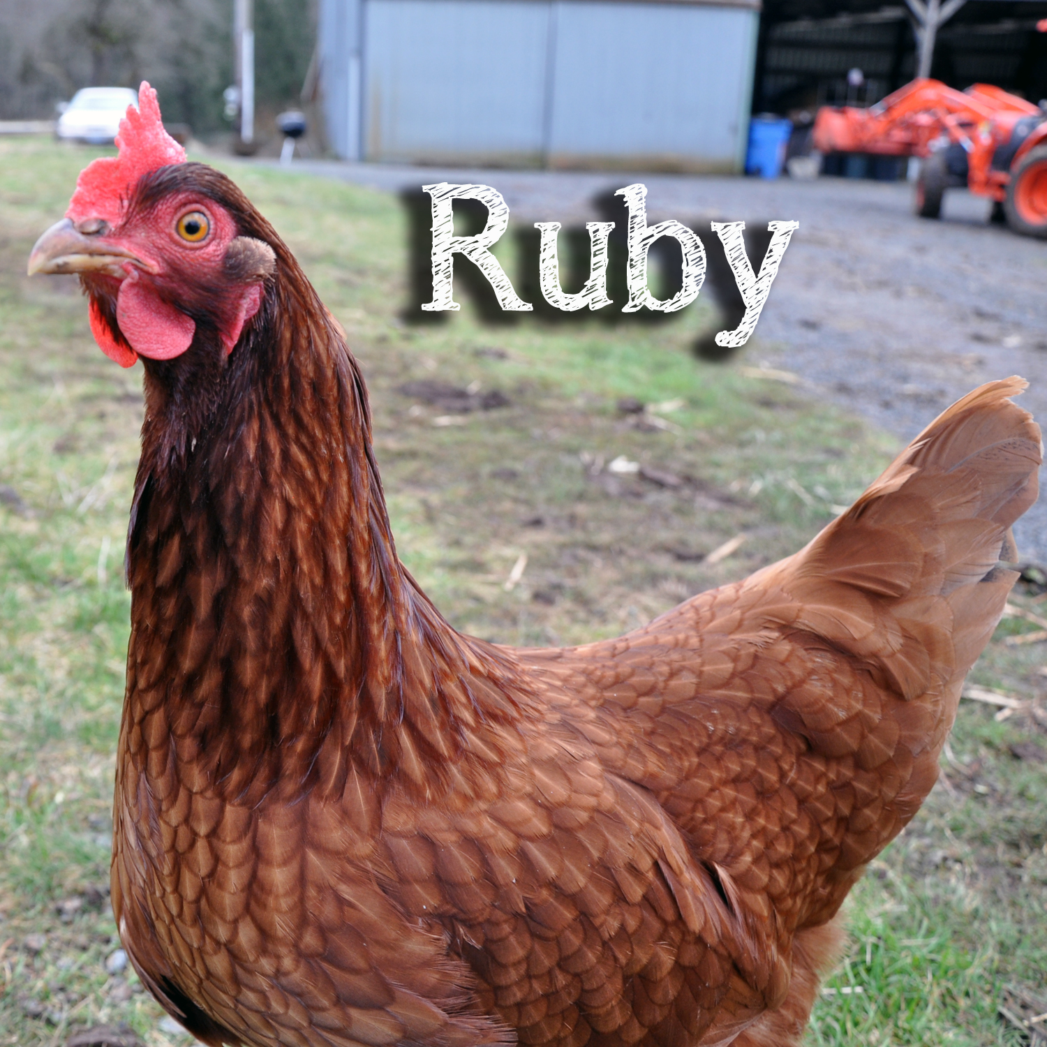 Ruby’s Roadtrip~ – Peculiar Ambitions