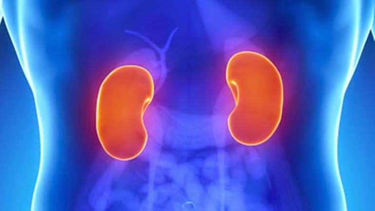 treatment for kidney disease: What are the symptoms of the early stage ...