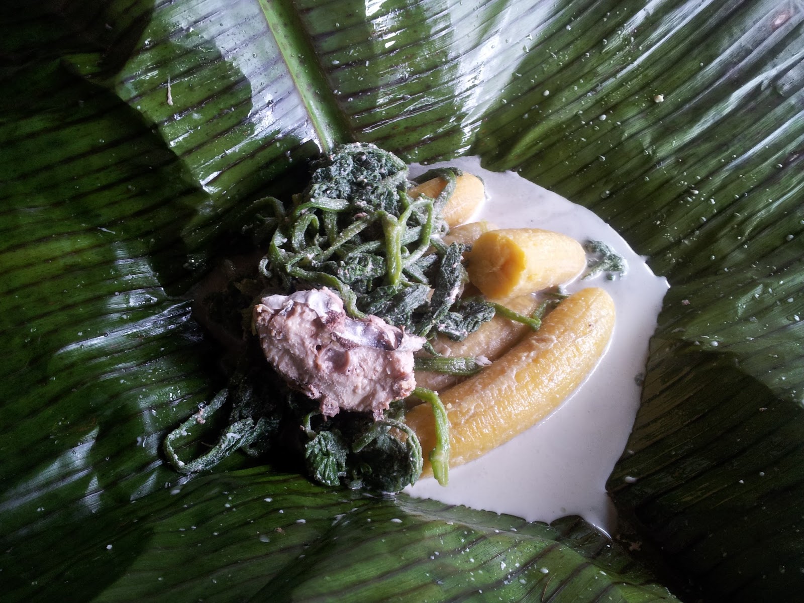 My Gratitude Journey: Day 8: Gratitude for Food and Water - The Magic ...