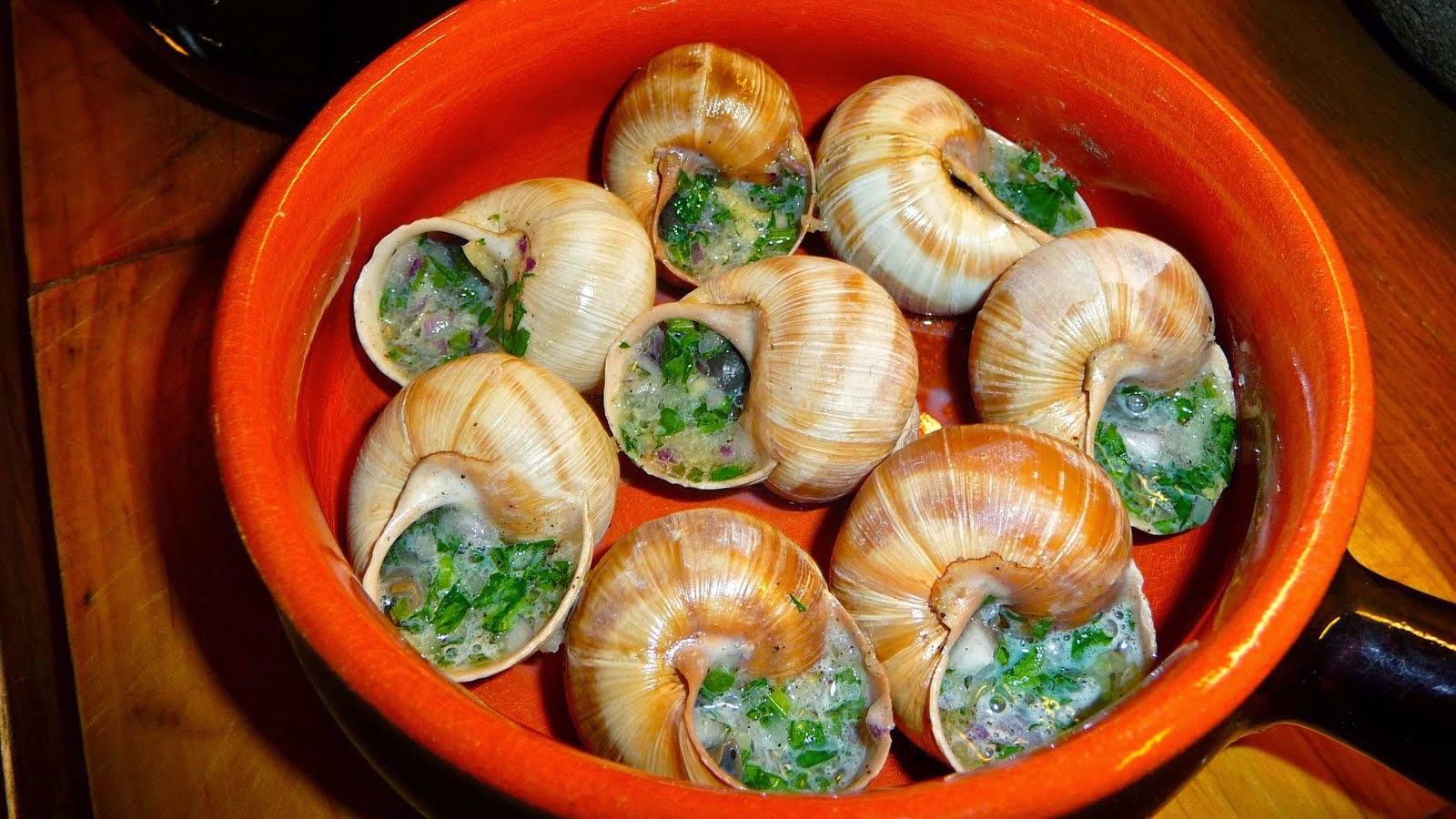 Cresterea melcilor la nivel comercial - Cresterea melcilor, ferma de melci