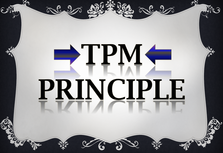 6 Effective TPM Principle