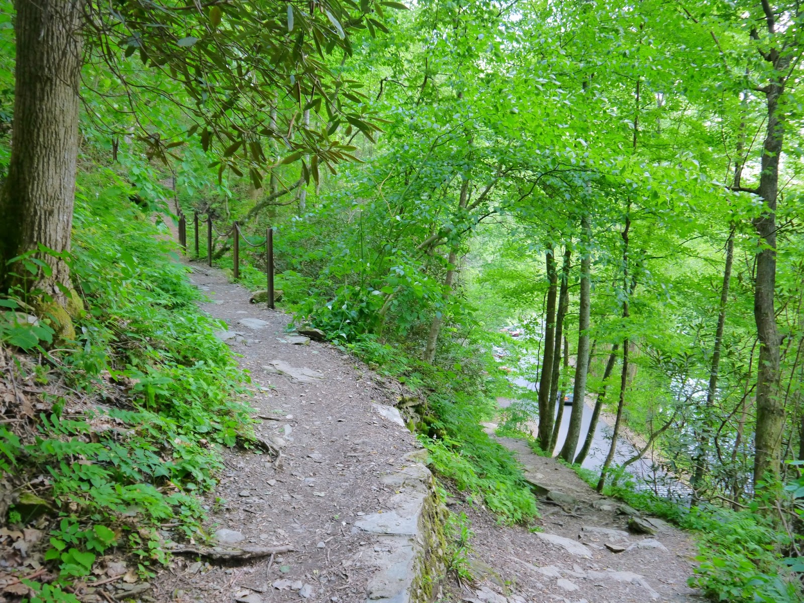 American Travel Journal: Bald River Falls and Kahuna Falls - Cherokee ...