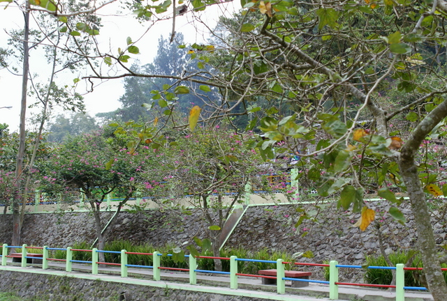 catatan perjalanan: outside Telaga Putri (Telogo Putri)