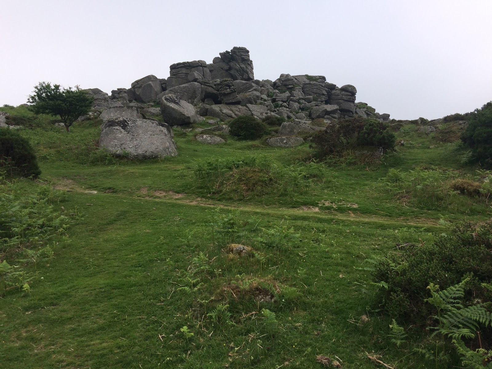 Max Piper - Tor Bagger: Dartmoor: Bonehill Down and clearing up some ...