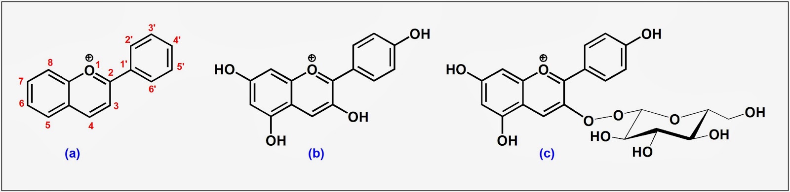 UBUScientia: Antocianinas, los otros pigmentos del reino vegetal
