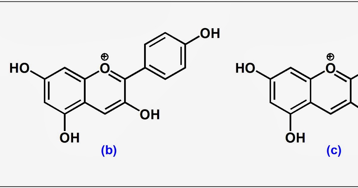 UBUScientia: Antocianinas, los otros pigmentos del reino vegetal