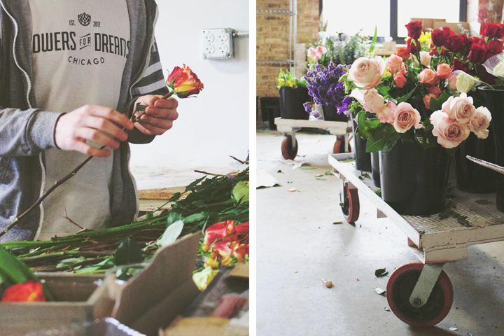 FOXTAIL + MOSS: Flowers for Dreams