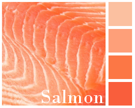 What does the color salmon mean – The Meaning Of Color