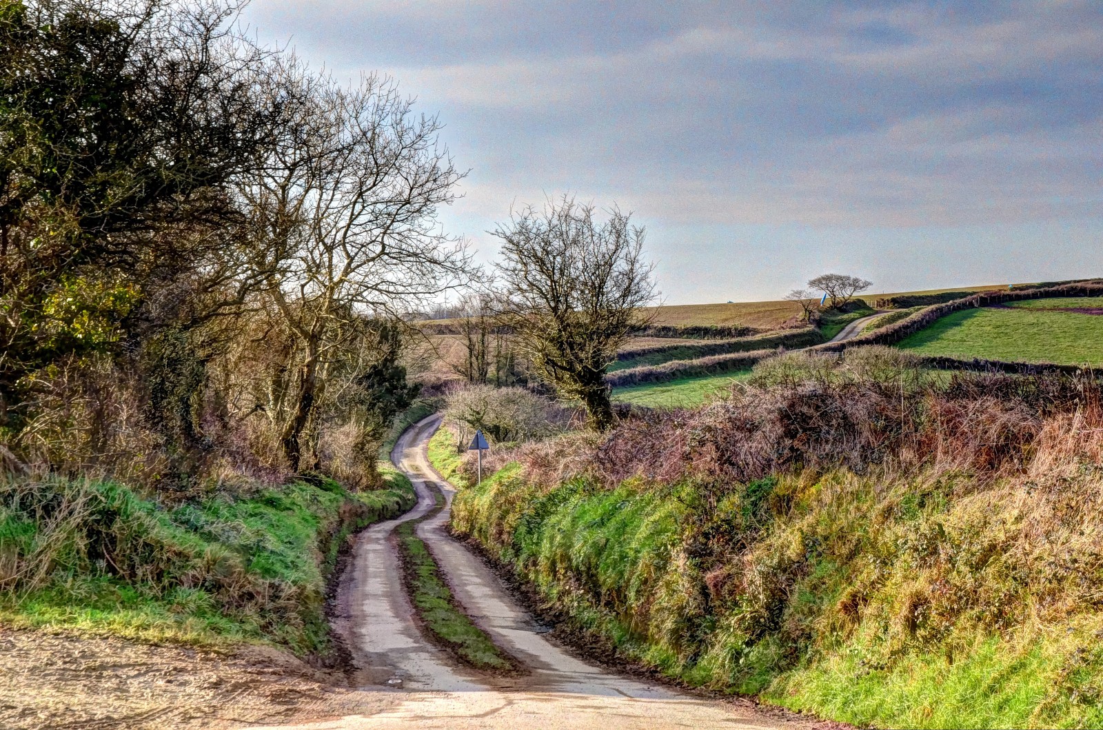 Les Paysages de La Campagne