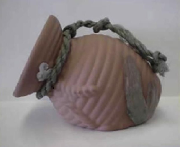 David Behar, M.D., E.J.D.