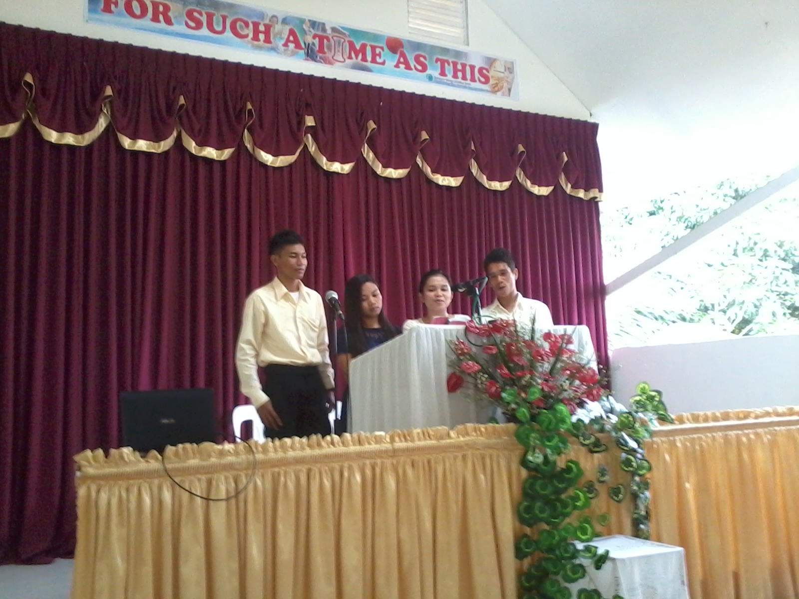 Scribbles and Everyday Miracles: Lovely as a Tree: Adventist Youth ...