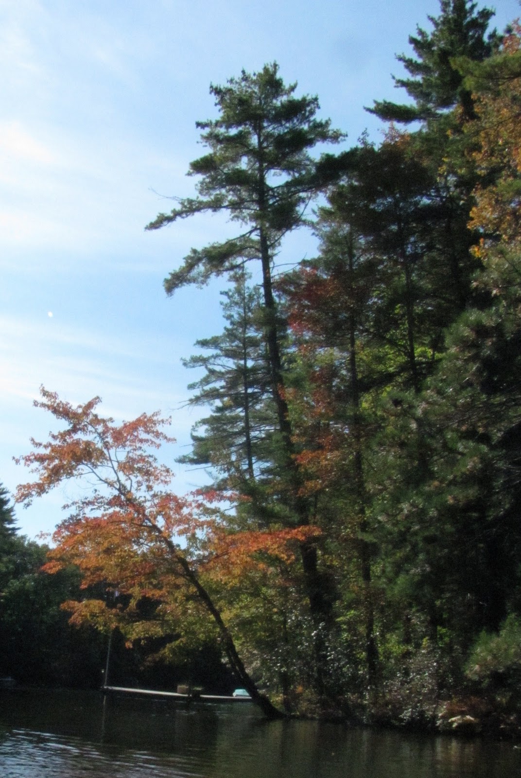 Recreational Kayaking in Maine: Songo River/Brandy Pond/Sebago Lake
