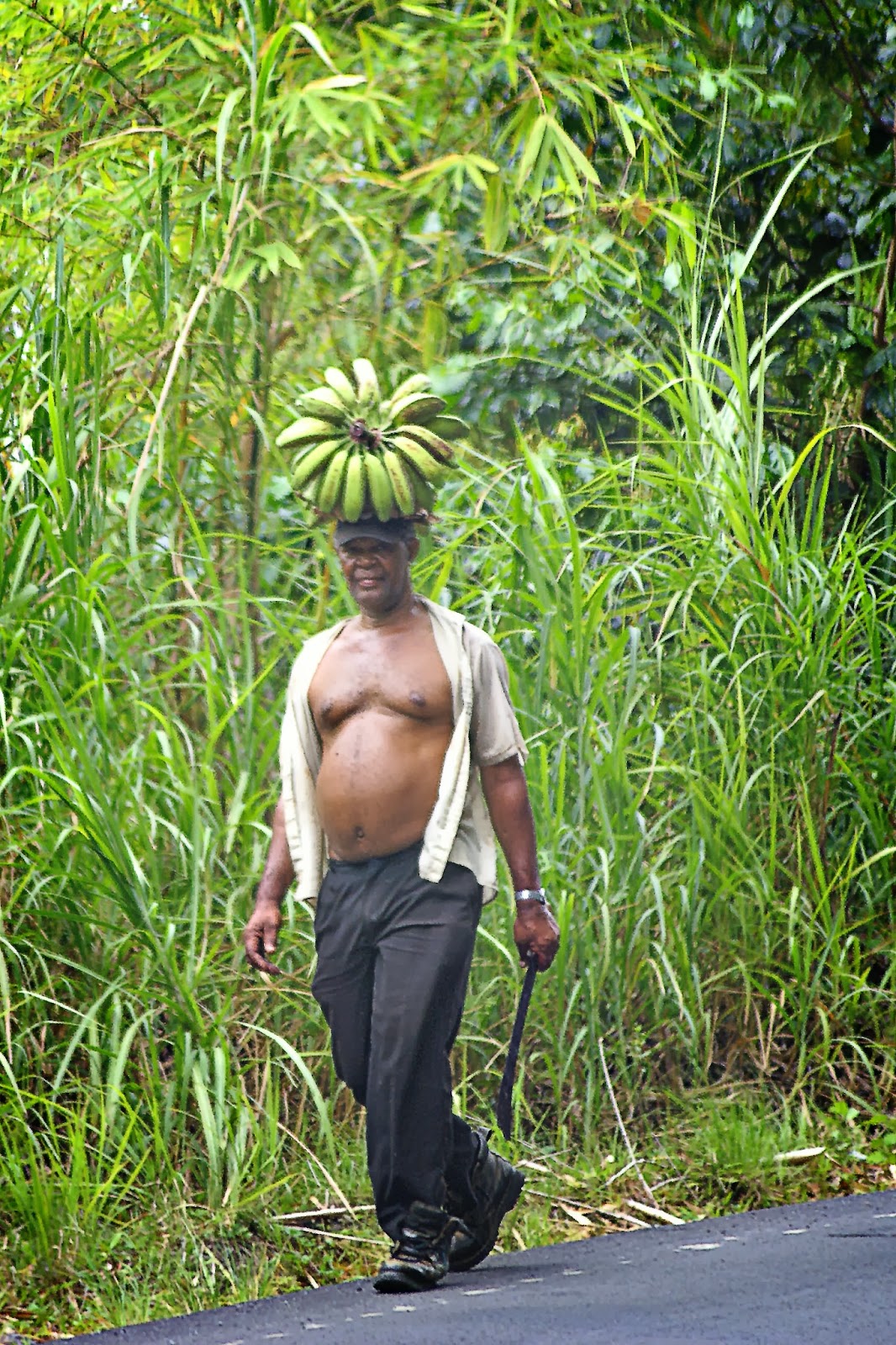 The Hungry Lovers: Tostones: Garlic Fried Plantains