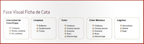 GRUPO REBOREDA MORGADIO: Manual de cata: Fase visual