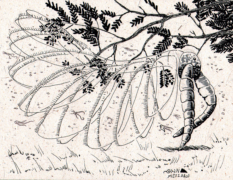 Cryptids State-by-State: Fresno Nightcrawler Variant 2 ...