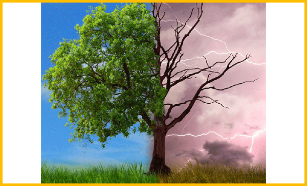 How To Create a Tree Manipulation Tutorial Photoshop - Tutorial Photo ...