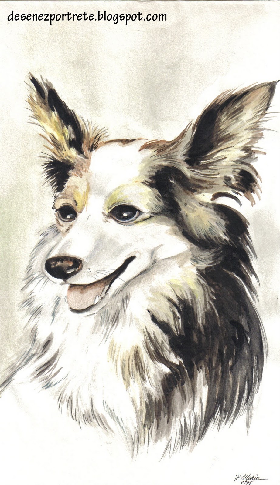 Desenez portrete in creion sau colorate,caricaturi si schite...