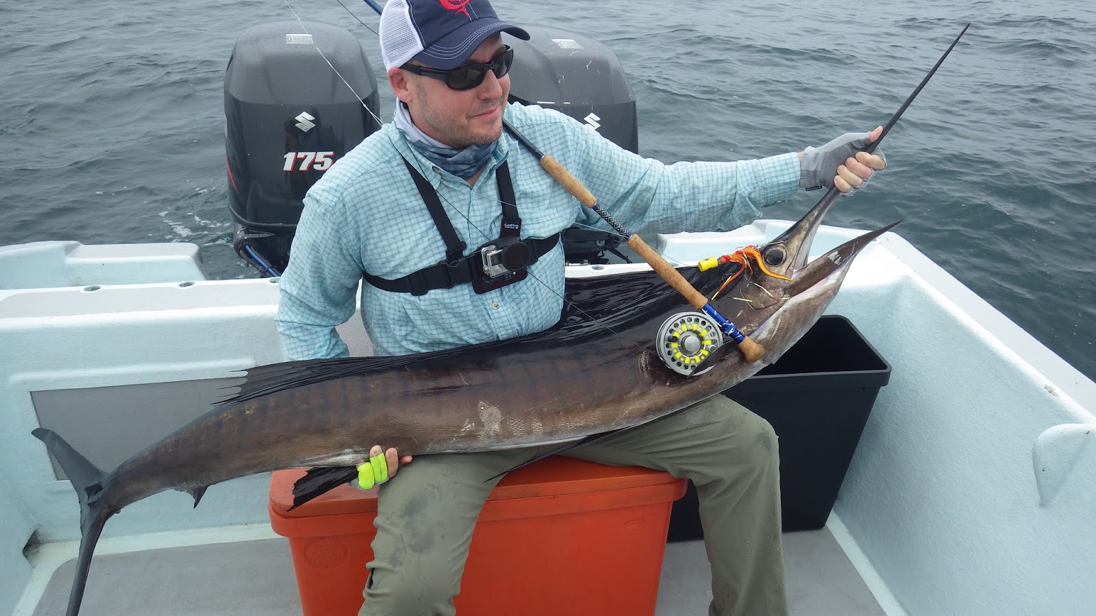 Rigging for Sailfish