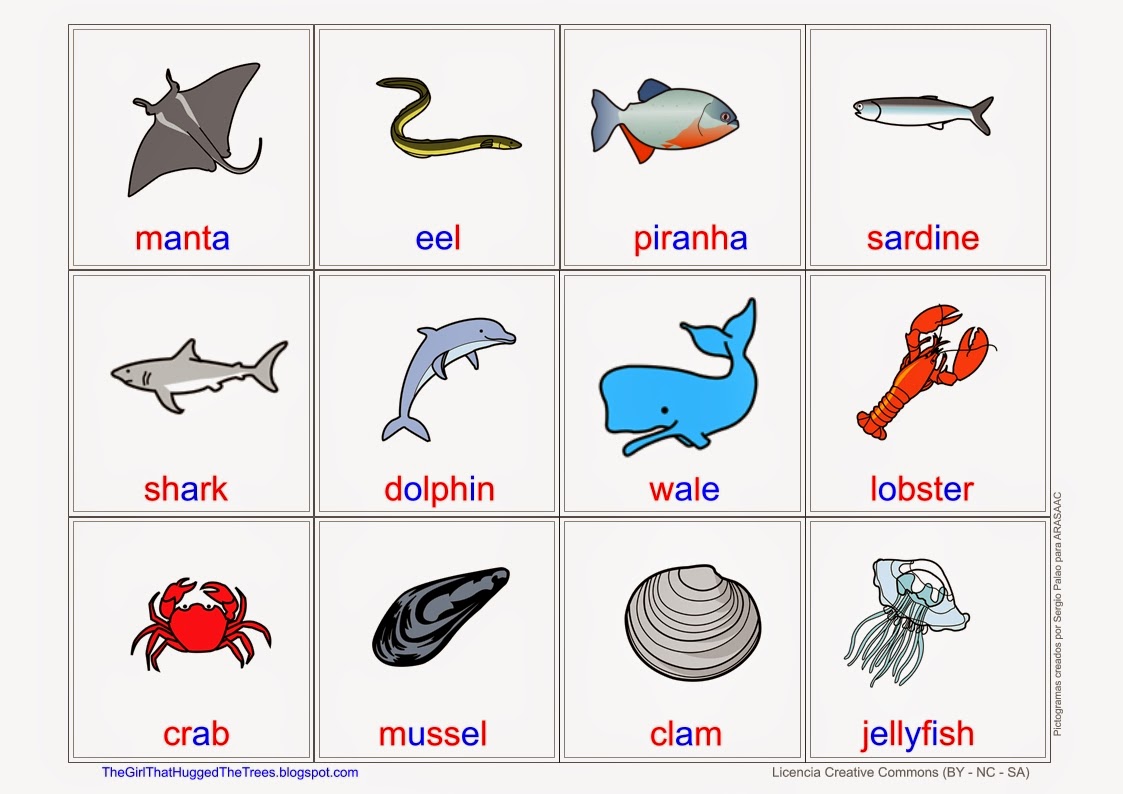 Babel - Free Language/Speech Therapy Resources. (PECS/ Montessori ...