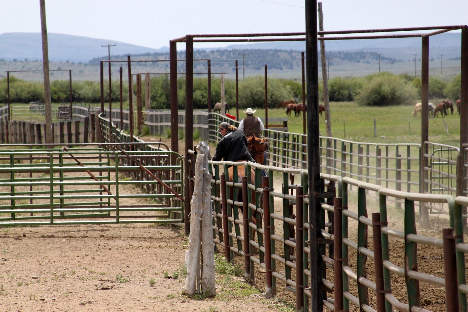 Success is Reason Enough: Breeding at the GI Ranch.