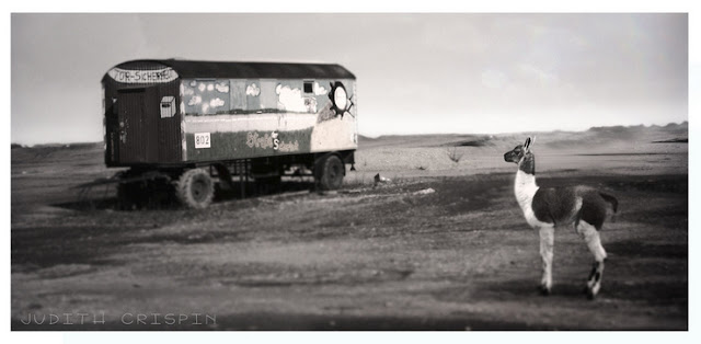 A Tranquil Townhouse: exhibitions from the foto biennale...