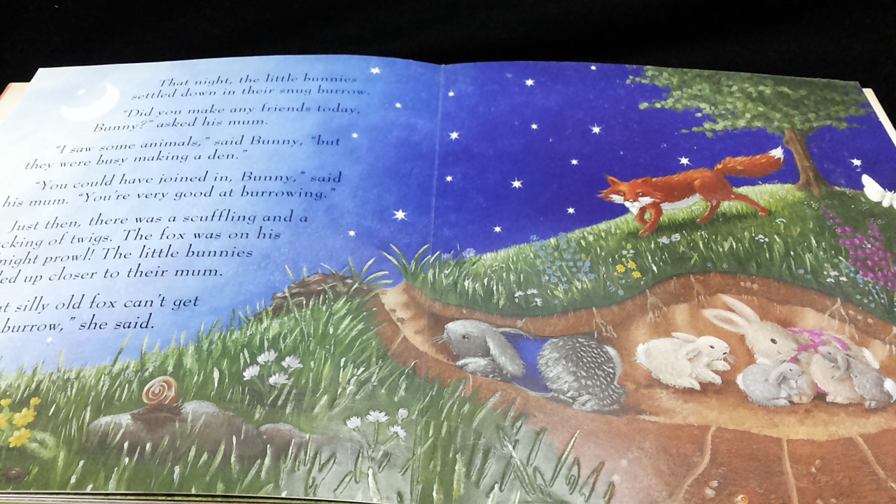 Kid Books Blog: 153.Little Duck Lost / Shy Little Bunny