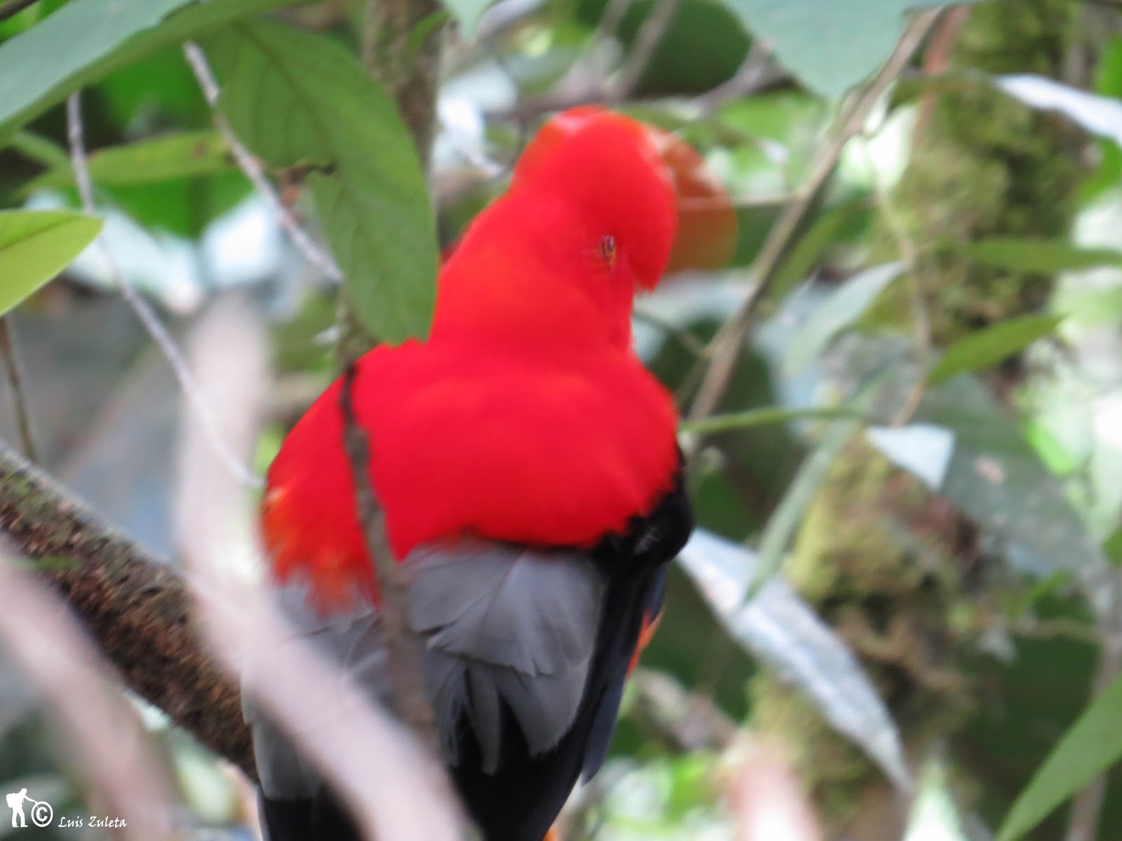Disfruta de la montaña a través de nuestra guianza, rutas y senderos ...