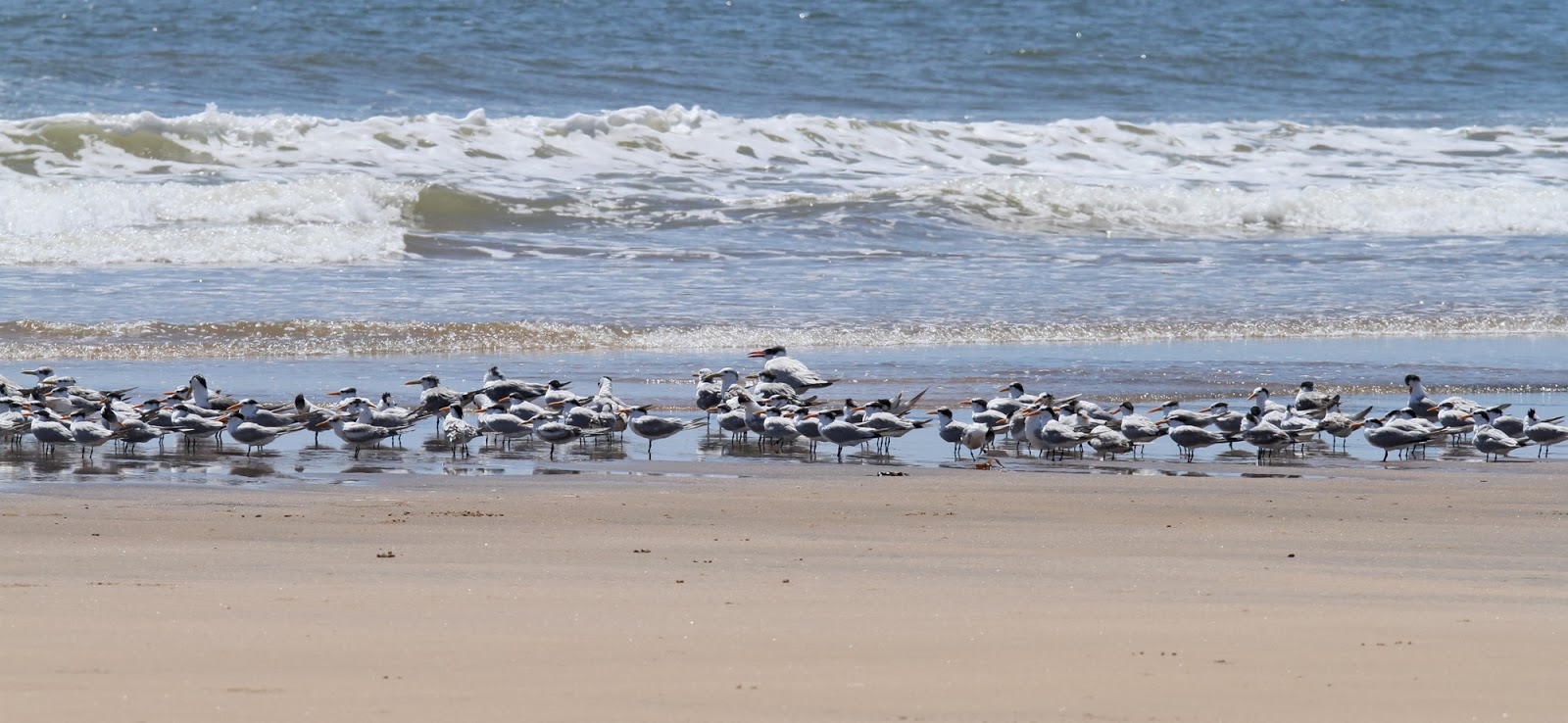 Simon and Karen Spavin: Sabaki River Mouth