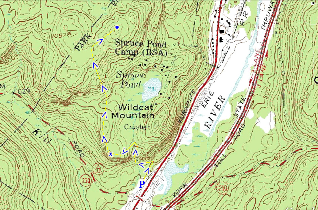 Harriman Hiker: Harriman State Park and Beyond: Wildcat Mountain