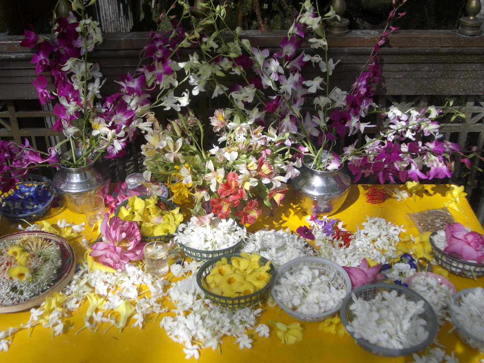 Chandima Gomes: Worshiping Stones, Trees and Concrete…!!